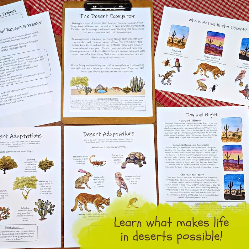 Desert Ecology Unit: Biome Study, Food Webs, Animal Adaptations (PDF ...