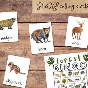 Forest Bingo: Printable Game for Camping, Forest School, Woodland ...