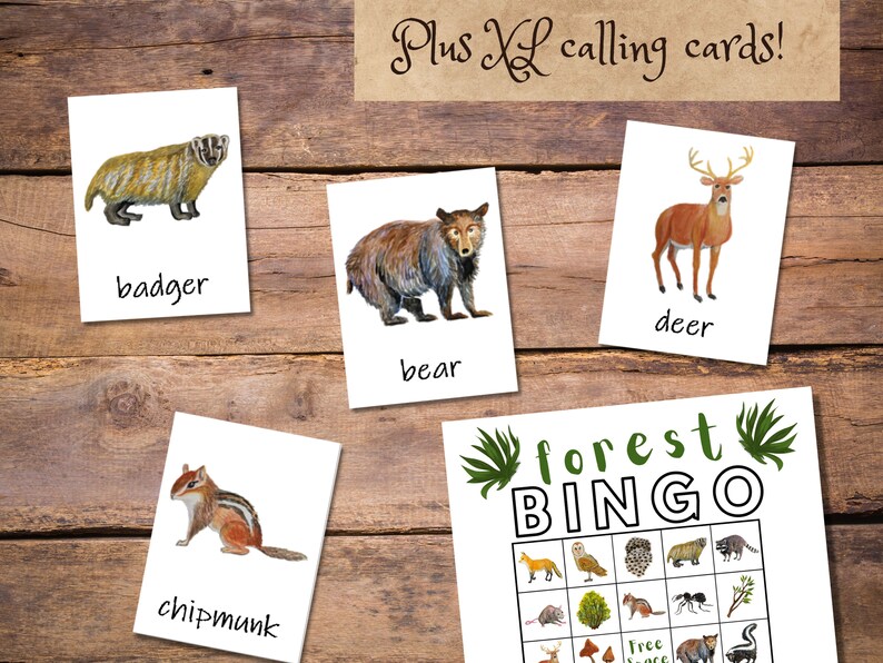 Forest Bingo: Printable Game for Camping, Forest School, Woodland ...