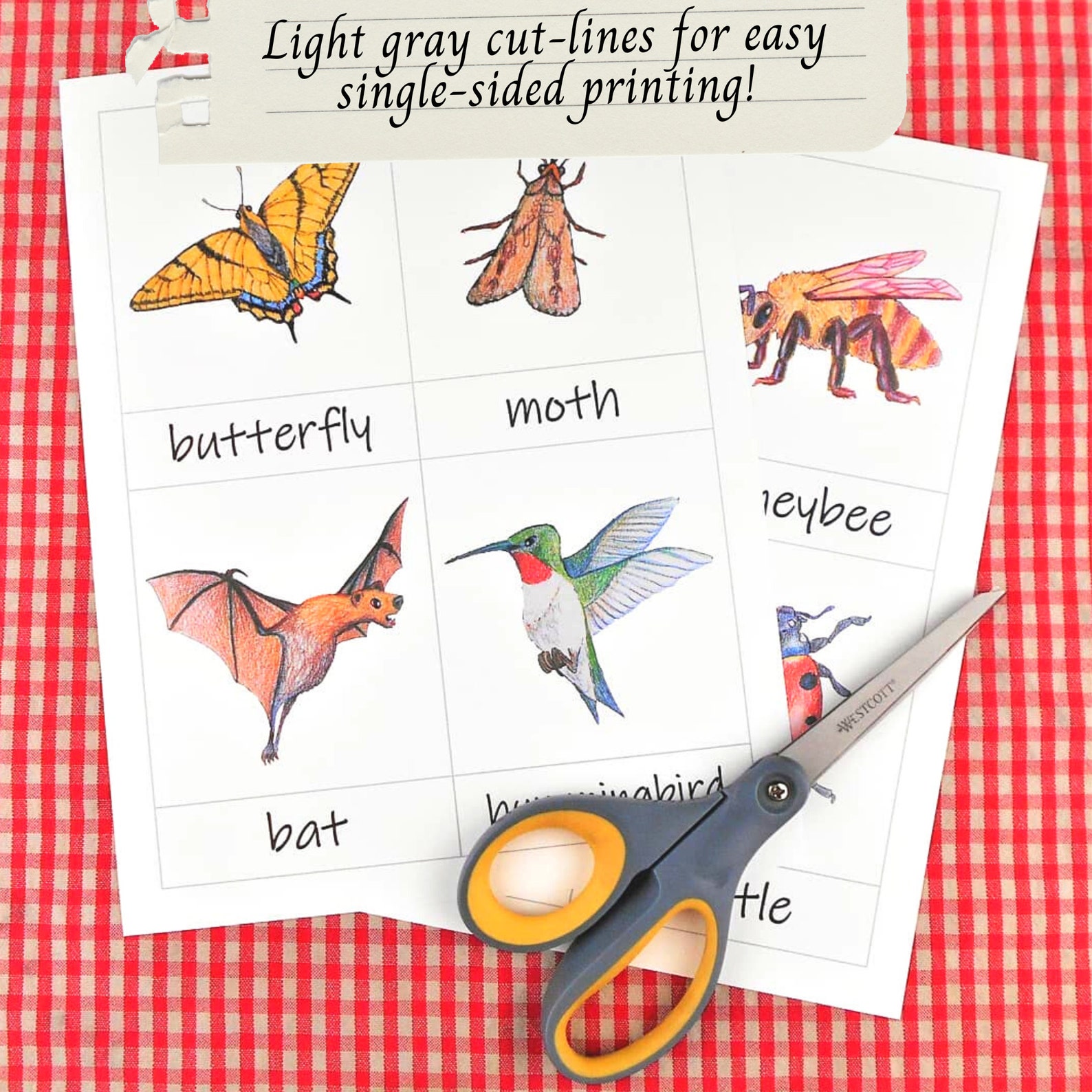 Pollinators: 7 Printable Three-part Cards, Preschool Activity, Forest ...