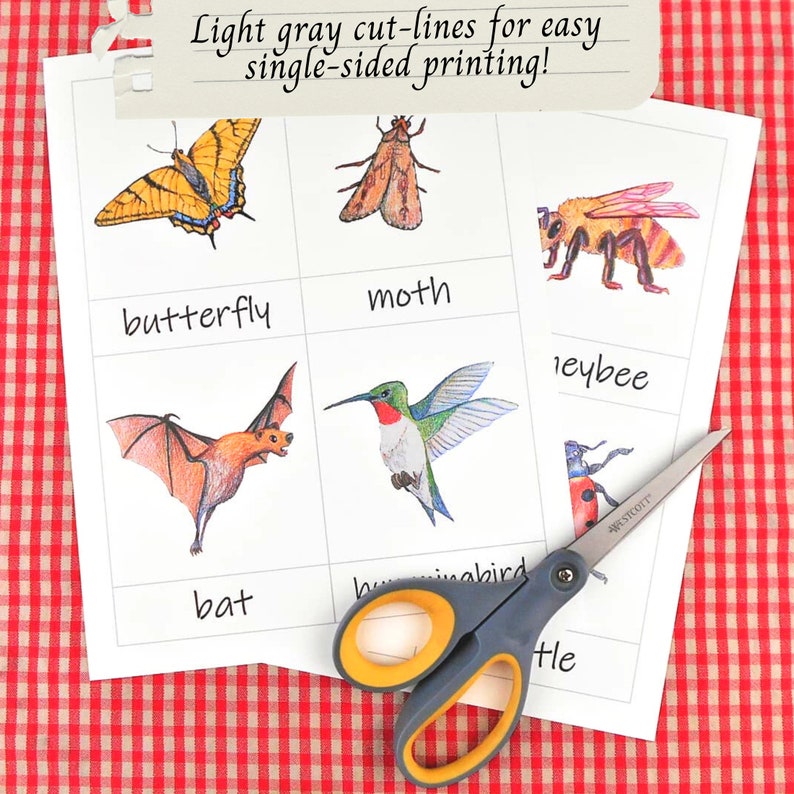 Pollinators: 7 Printable Three-part Cards, Preschool Activity, Forest ...