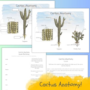 Cactus Unit: Nature Curriculum, Homeschool Science, Nature Study ...