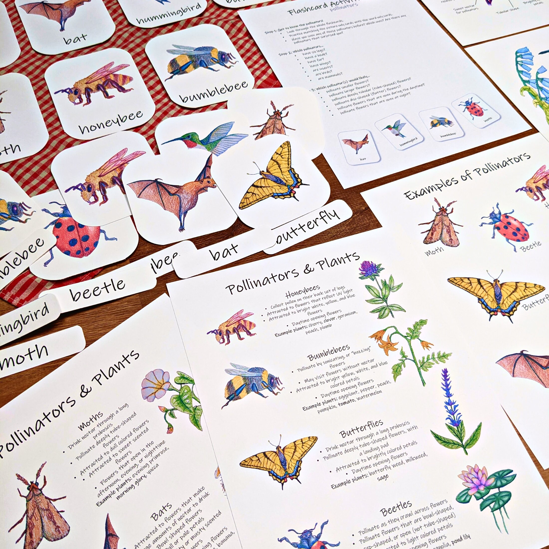 Botany Collection: 3 Plant Biology Homeschool Units (PDF Download) - Etsy