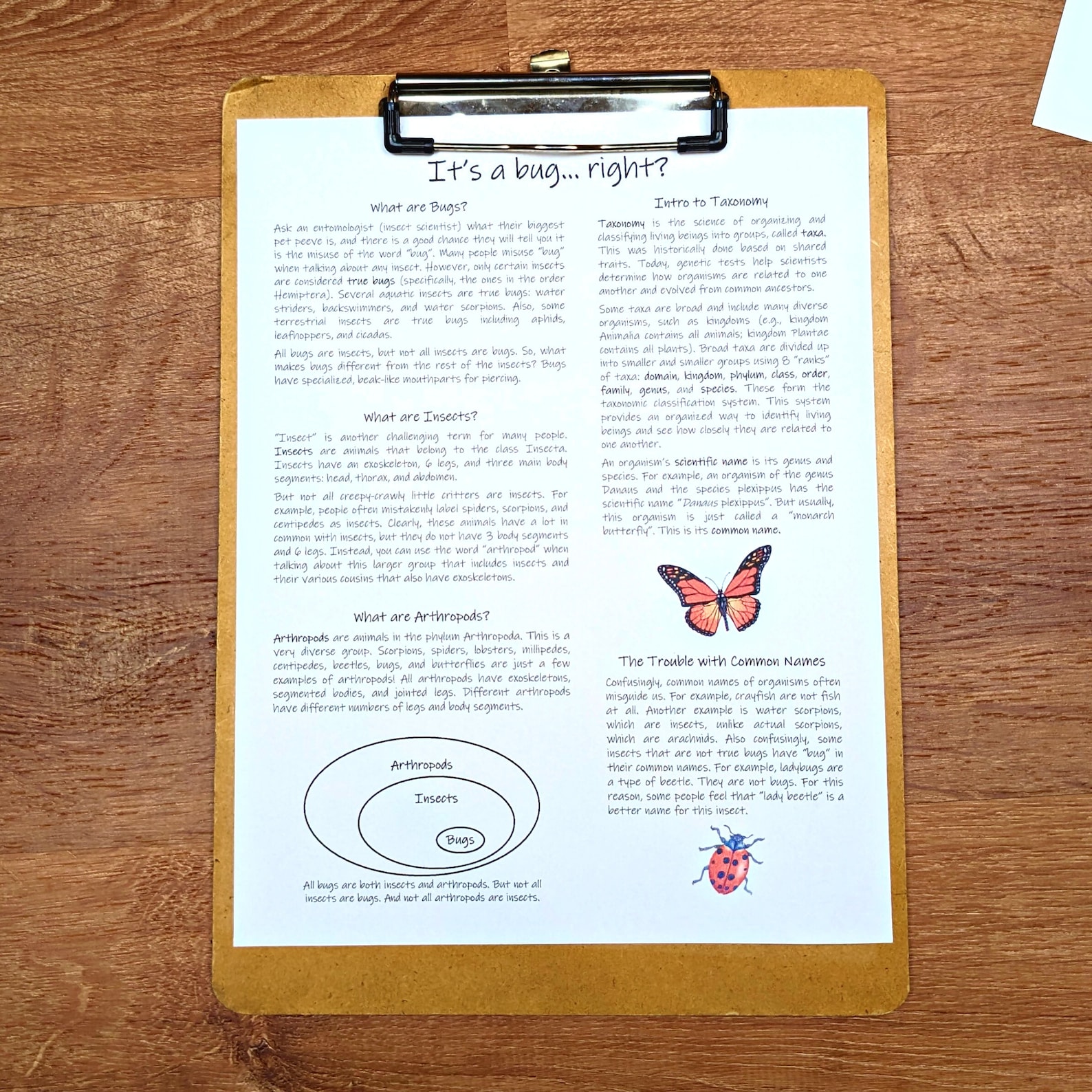 It's a Bug... Right Taxonomy Mini Study: Biology Lesson - Etsy