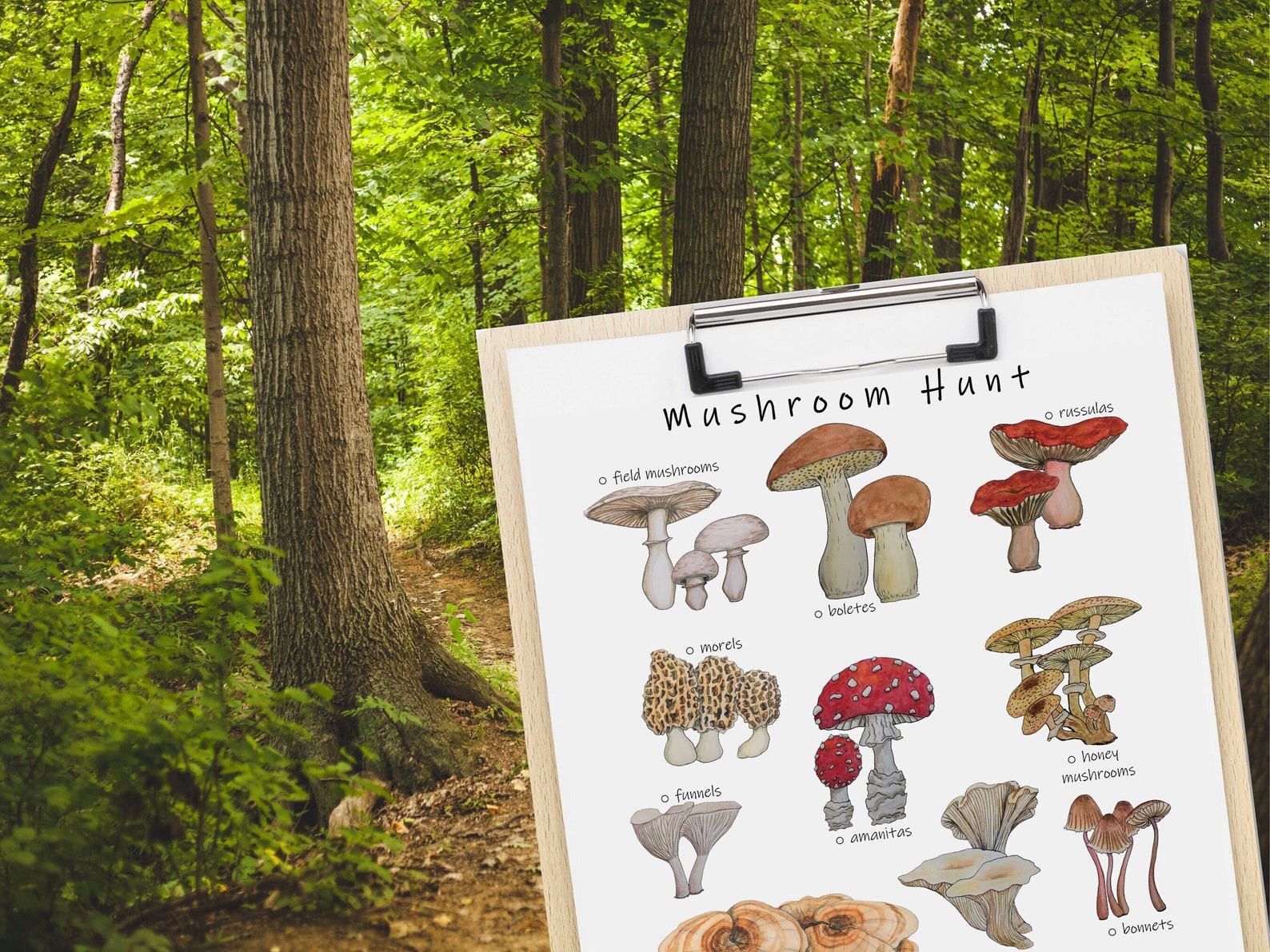 Mushroom Scavenger Hunt: Field Trip Activity, Camping Trip Game, Forest ...