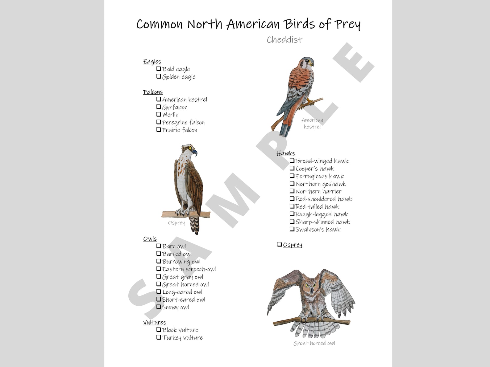 Common Raptors Checklist: North American Birds of Prey List - Etsy