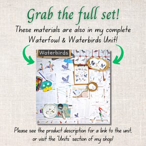 Duck Anatomy: Printable Labeled & Unlabeled Diagrams With Parts of a ...