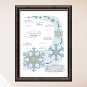 Snowflake Mini Study: Learn About the Formation and Types of Snowflakes ...