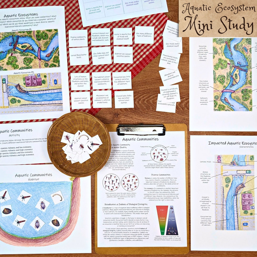 Stream Ecology & Aquatic Habitats: Hands-on Science Activities for High ...
