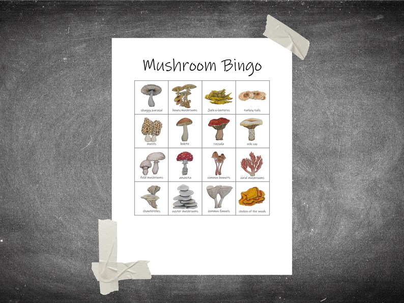 Mushroom Bingo Set: 25 Watercolor Bingo Cards (printable PDF) - Etsy