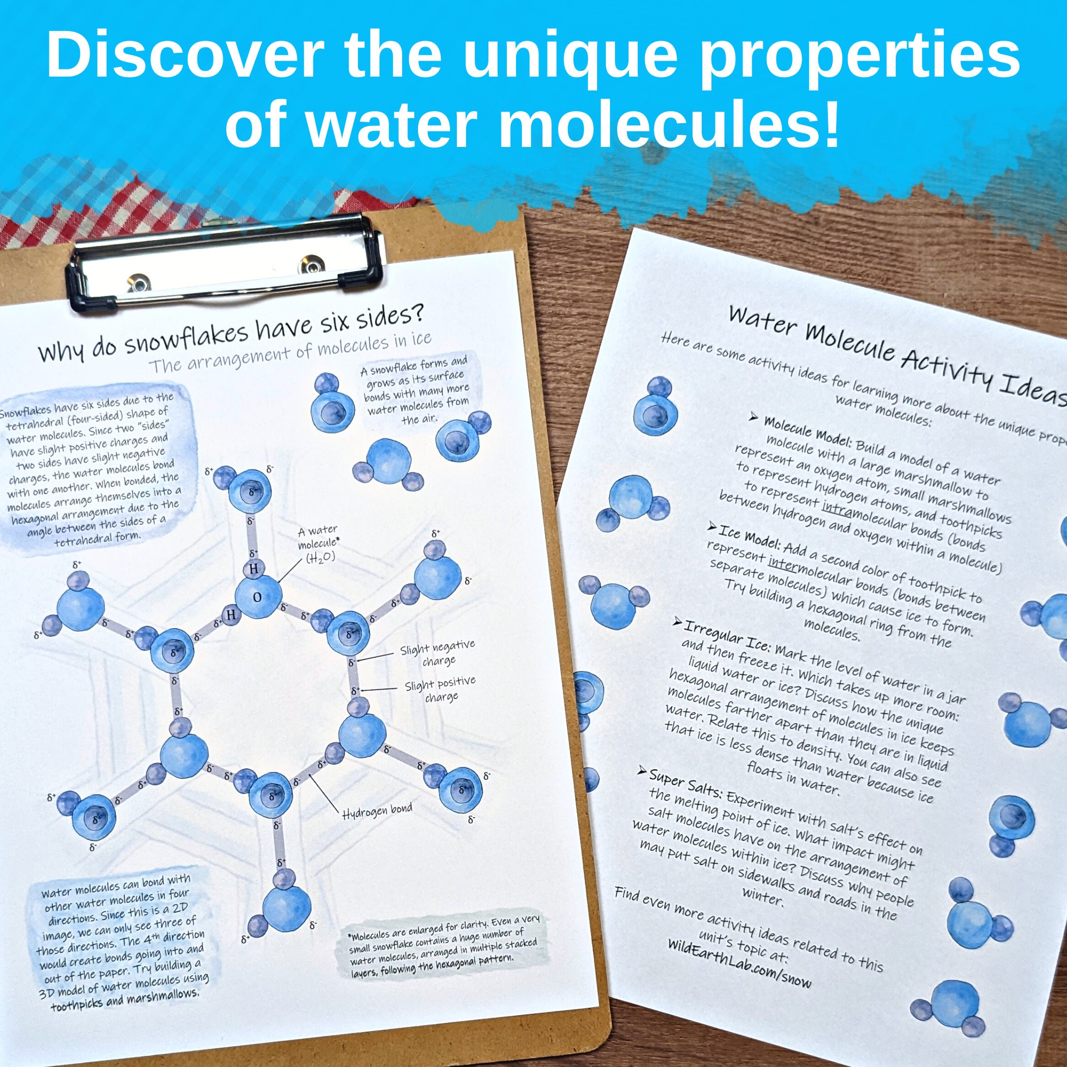 Phases of Water Mini Study: Science Activities, Classroom Posters ...