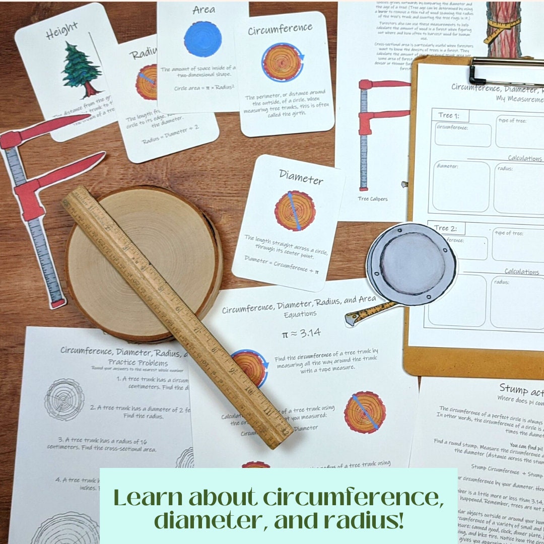 Circumference, Diameter, & Radius Mini Study: Forest Math Activities ...