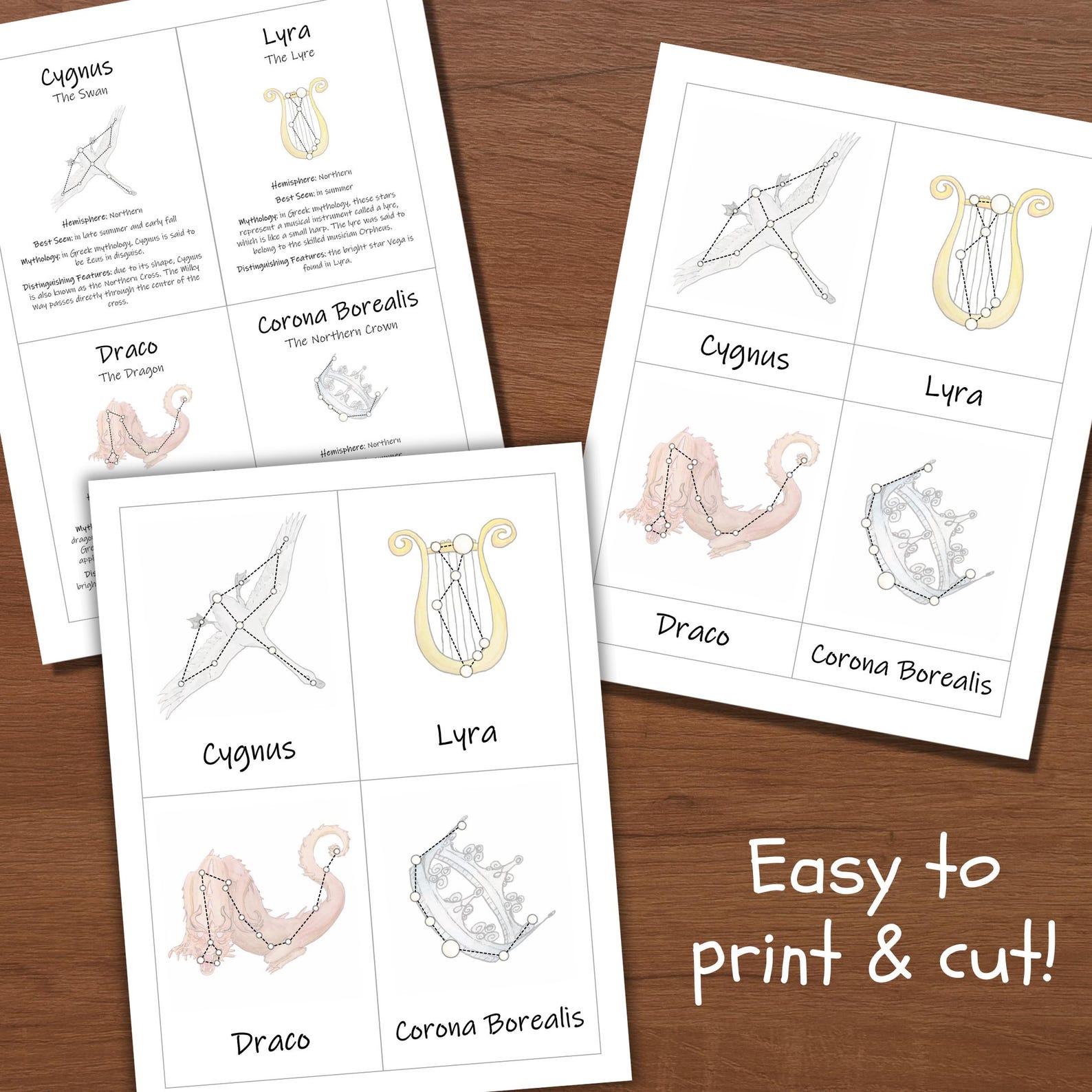 Northern Hemisphere Constellations Flashcards: Star Gazing Cards ...