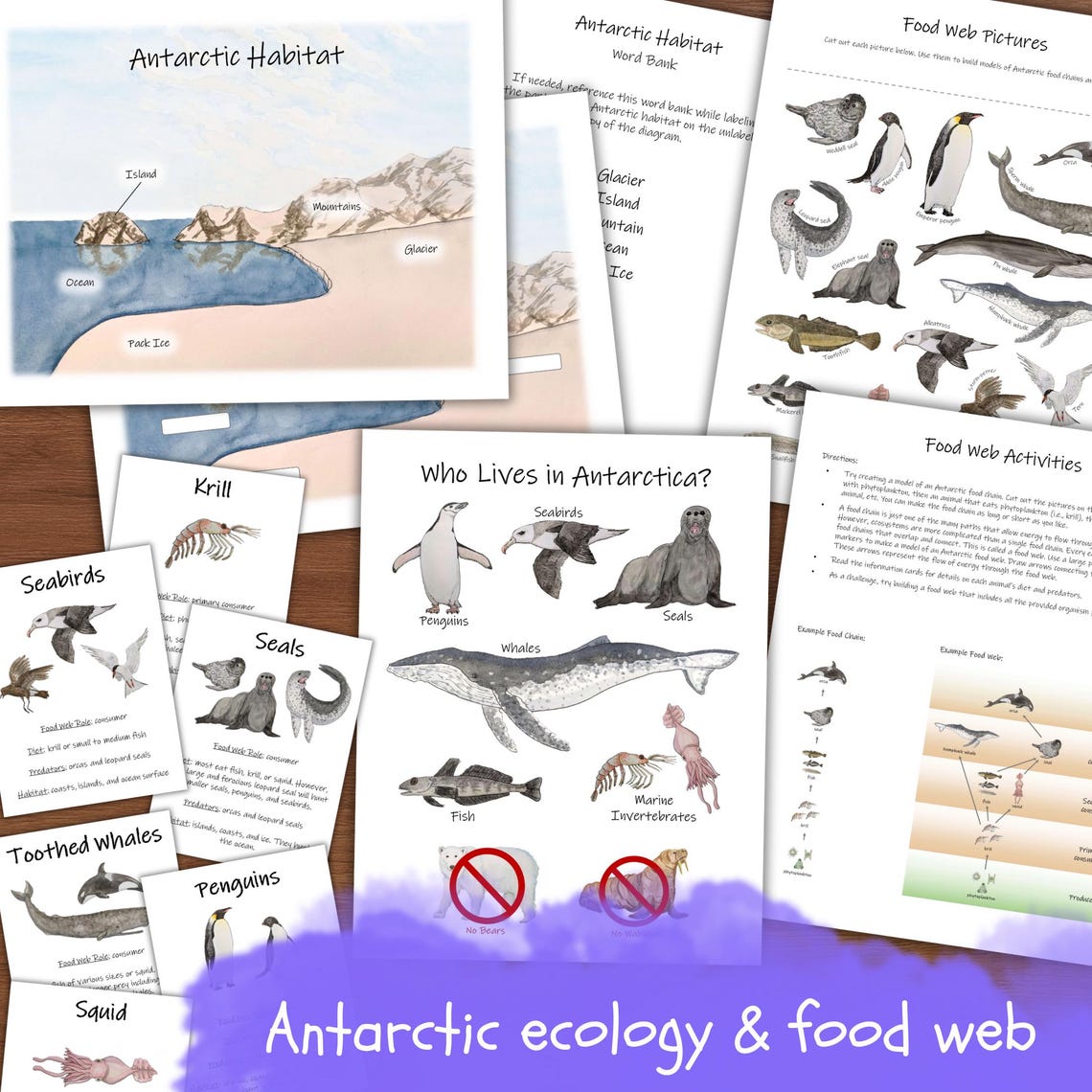 Arctic & Antarctica Polar Science Unit Bundle: Homeschool Printable ...