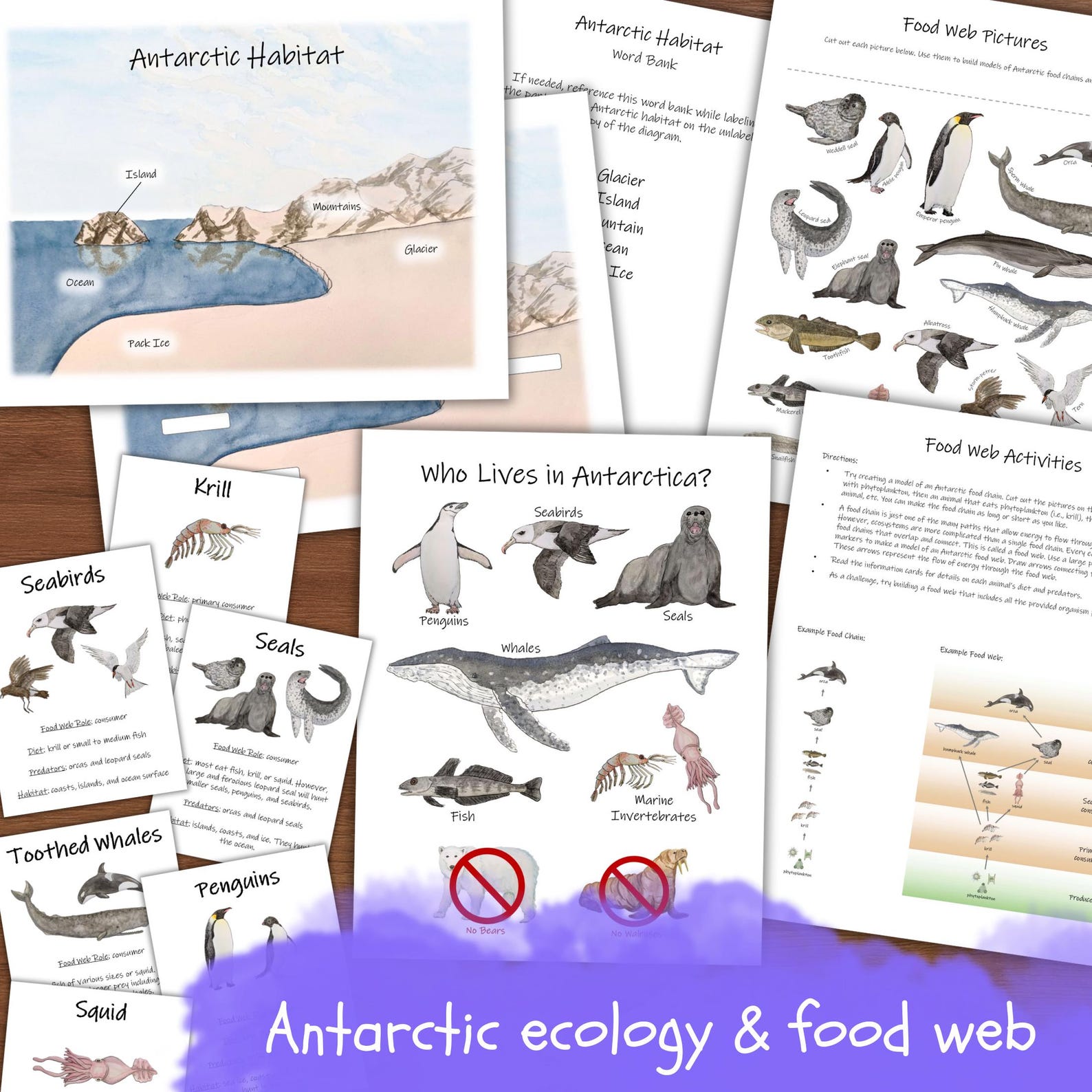 Arctic & Antarctica Polar Science Unit Bundle: Homeschool Printable ...