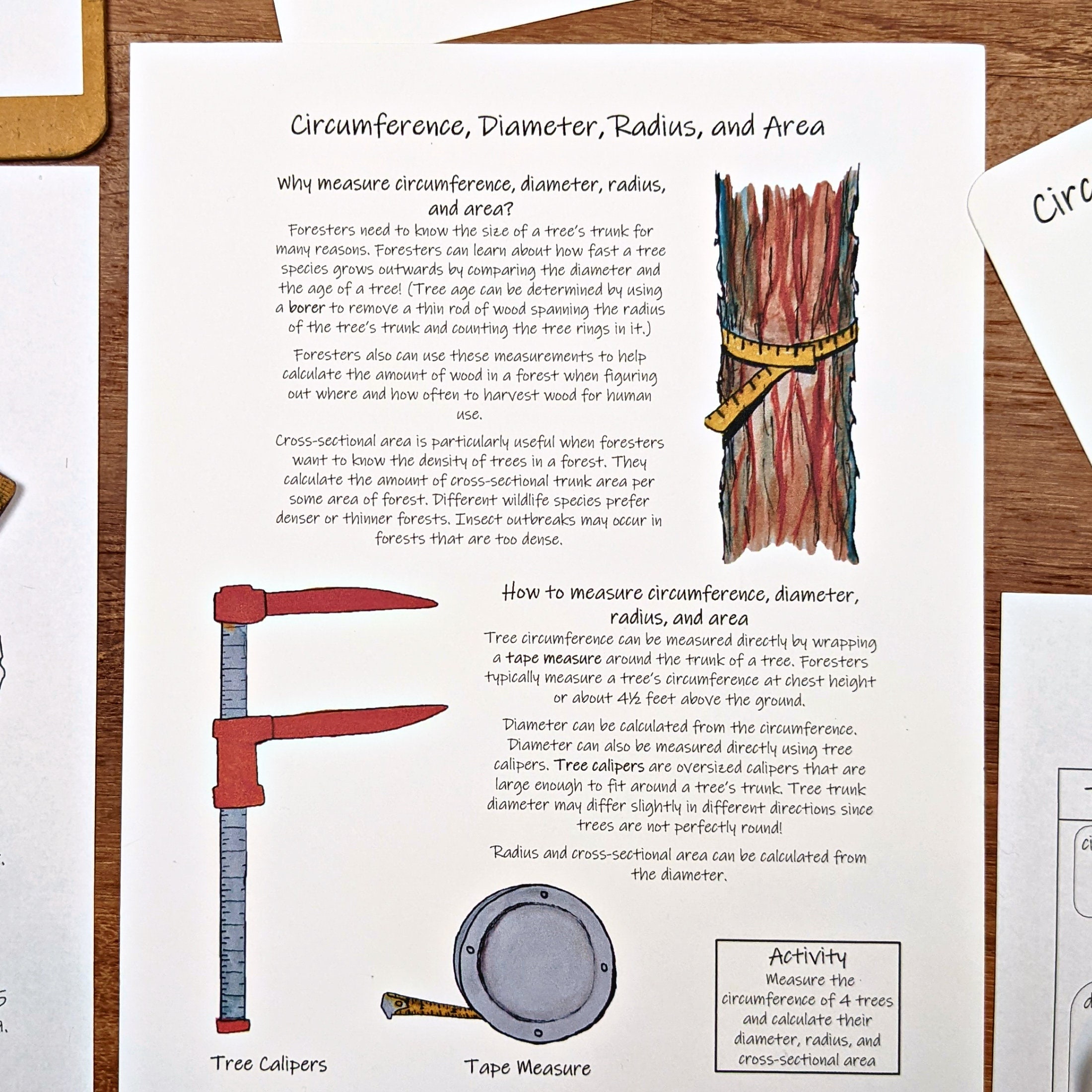 Circumference, Diameter, & Radius Mini Study: Forest Math Activities ...