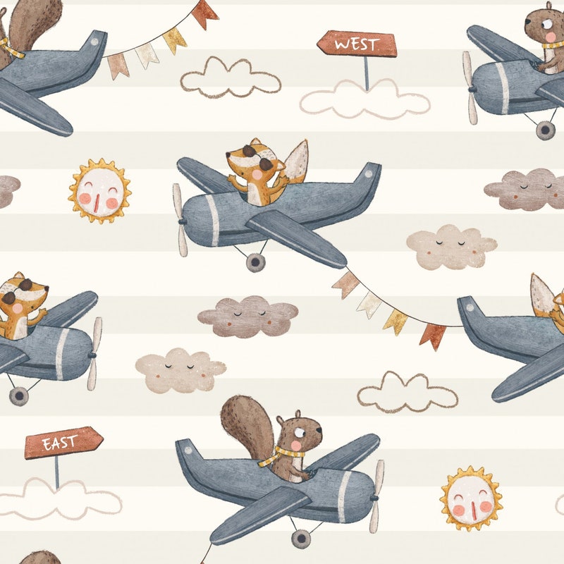 Plane Fabric - Etsy