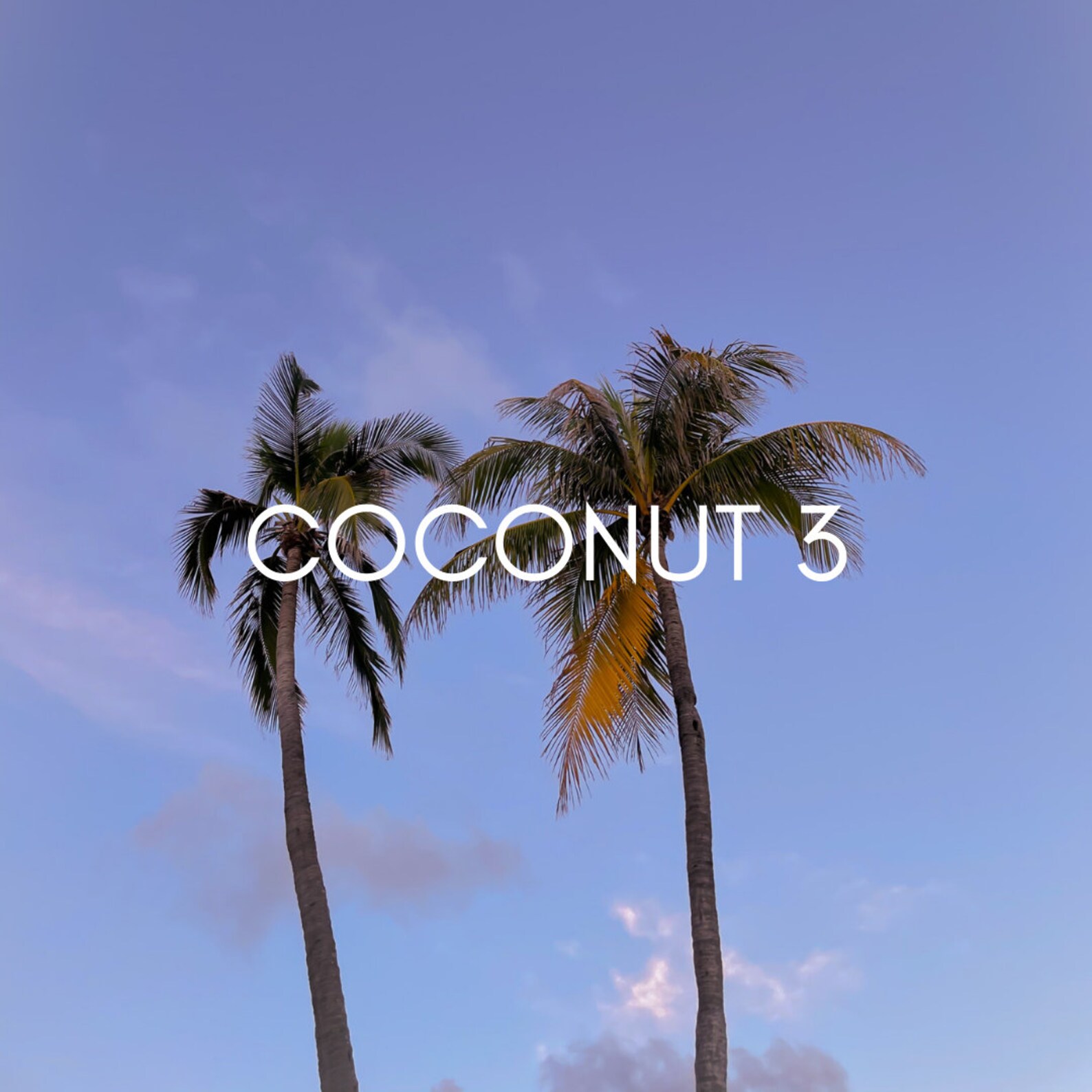 Coconut Aesthetic Presets - Etsy