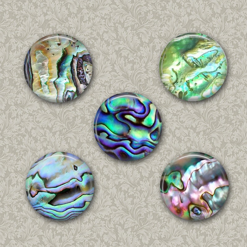 Decorative Magnets - Etsy