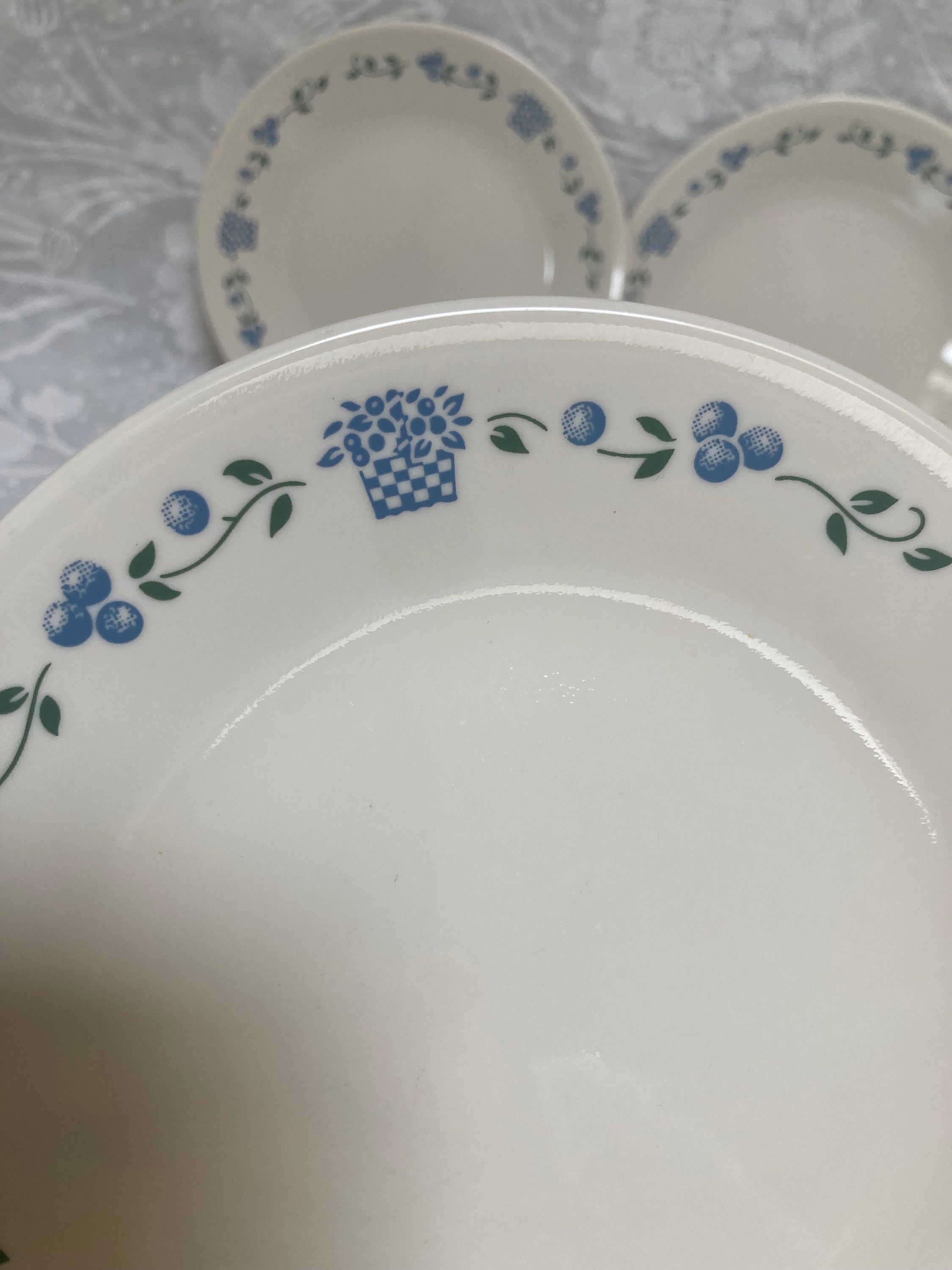 12 Piece Corelle Blueberry Bouquet and Brooke Plates Dinnerware ...