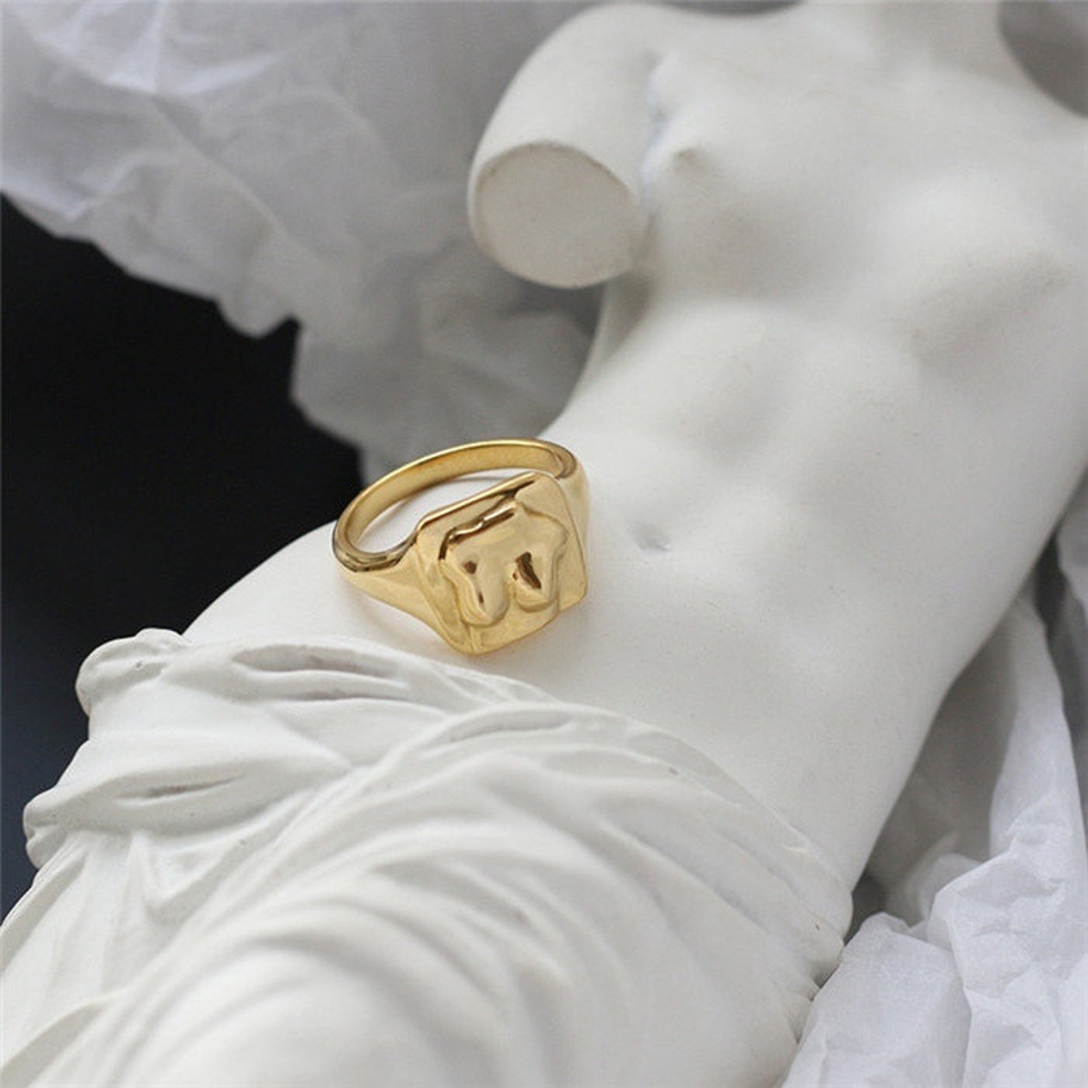 Female Body Ring Signet Ring Statement Ring Stainless Steel - Etsy UK