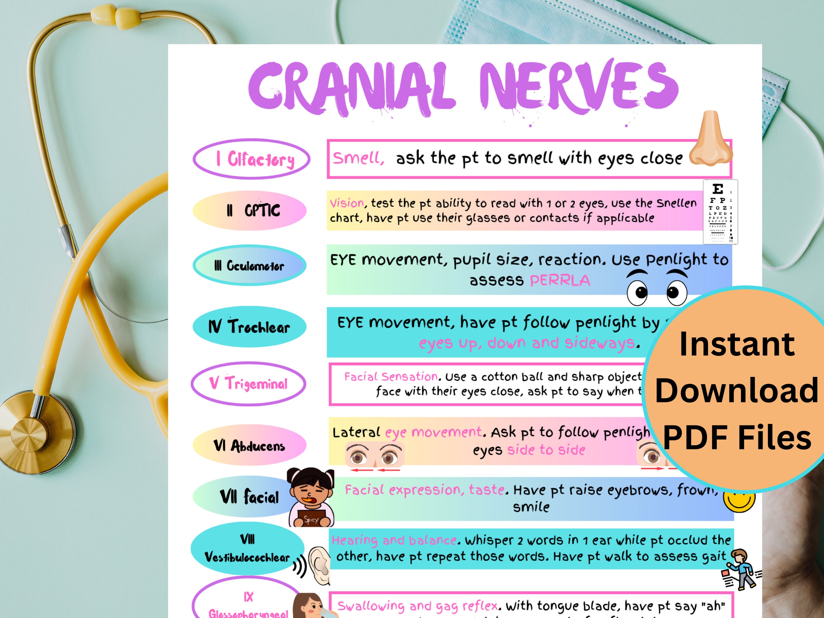 Cranial Nerve Study Guide- Cranial Nerve Cheat Sheet Digital - Etsy