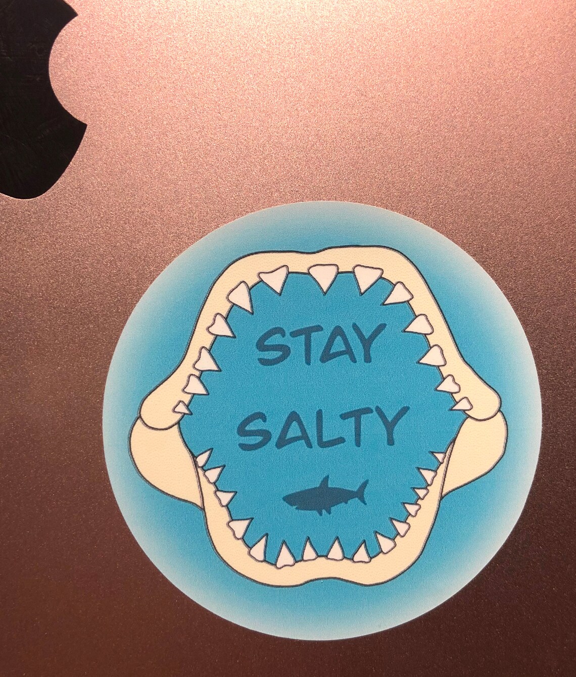 Stay Salty Sticker - Etsy