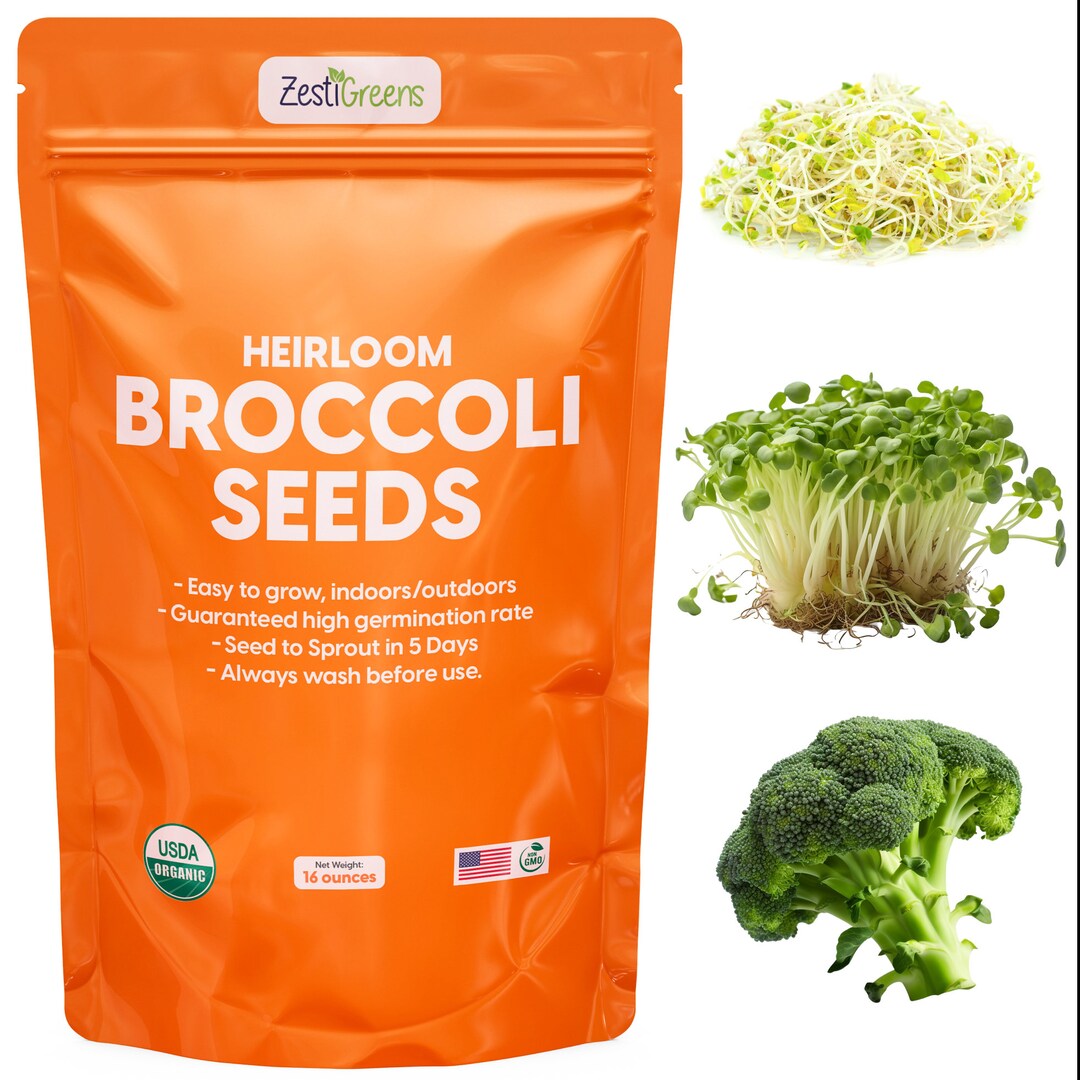 Broccoli Seeds for Sprouting & Microgreens Organic, Non-gmo, Heirloom ...