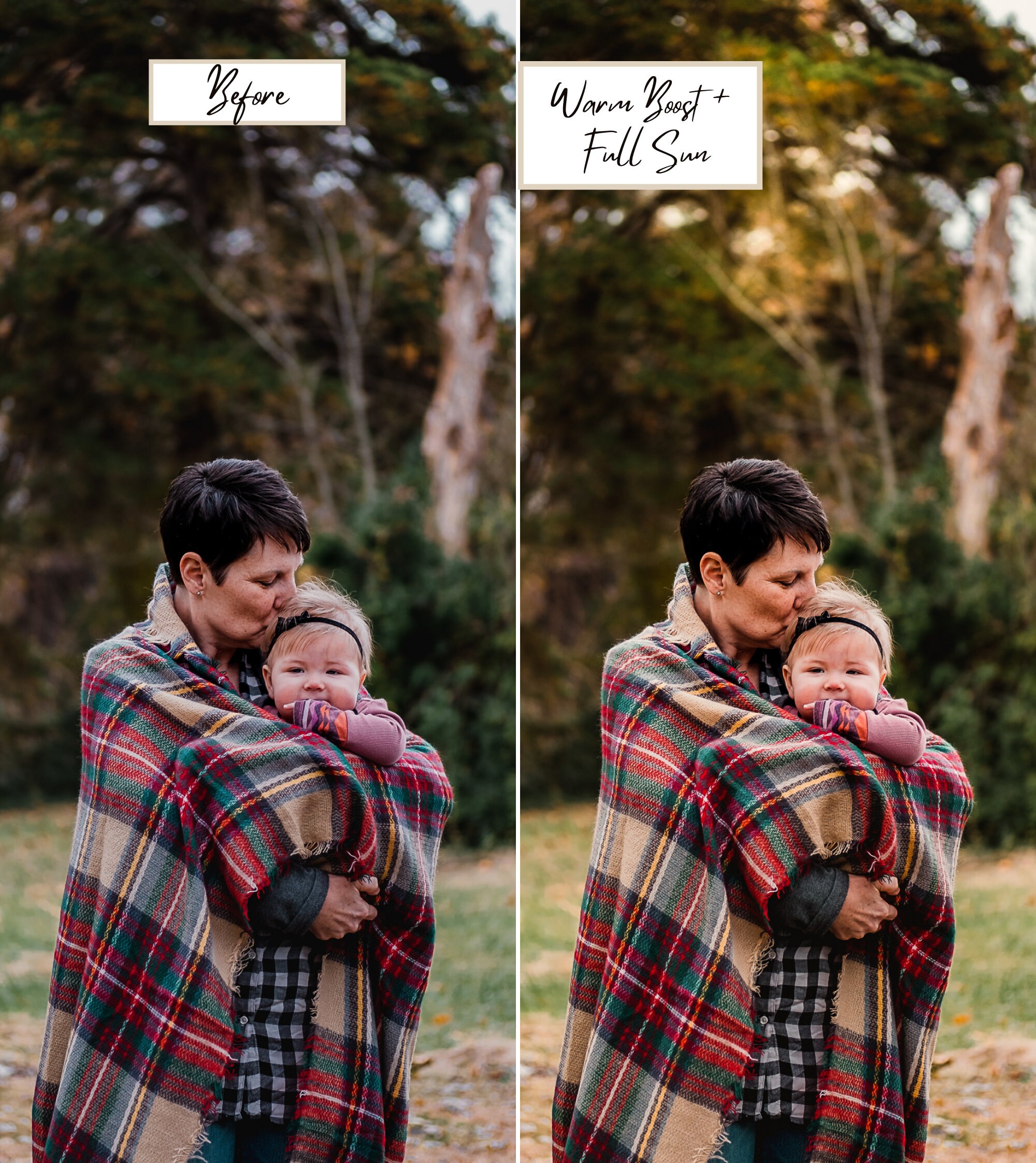 10 Lightroom Golden Sun Presets, Instant Download, Overlay, LR Desktop ...
