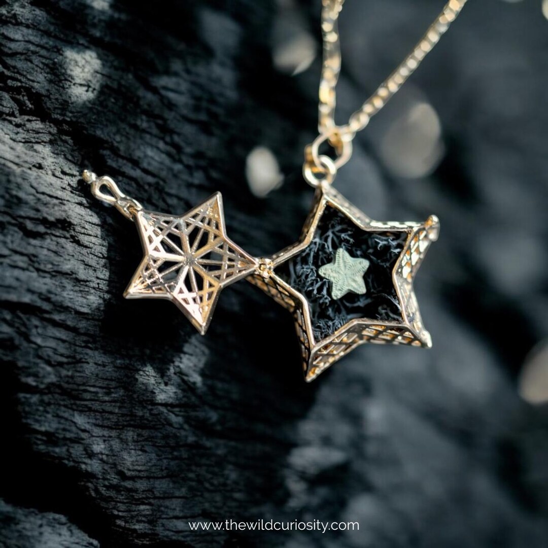 Gold Star Locket With Genuine Fossil Star Crinoid | Unique Pendant ...