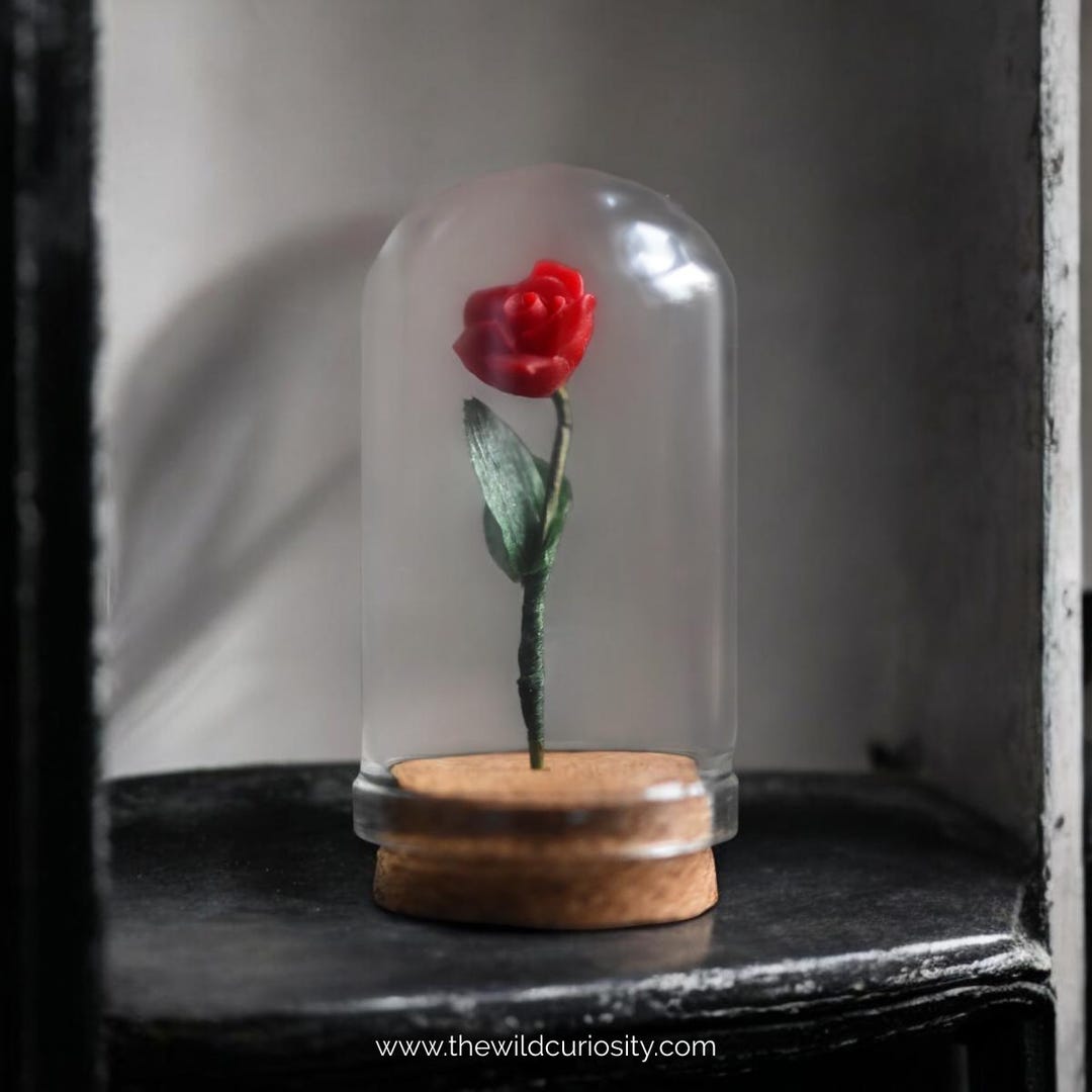 Miniature Glass Dome With Red Rose | Faux Flowers | Taxidermy | Gothic ...