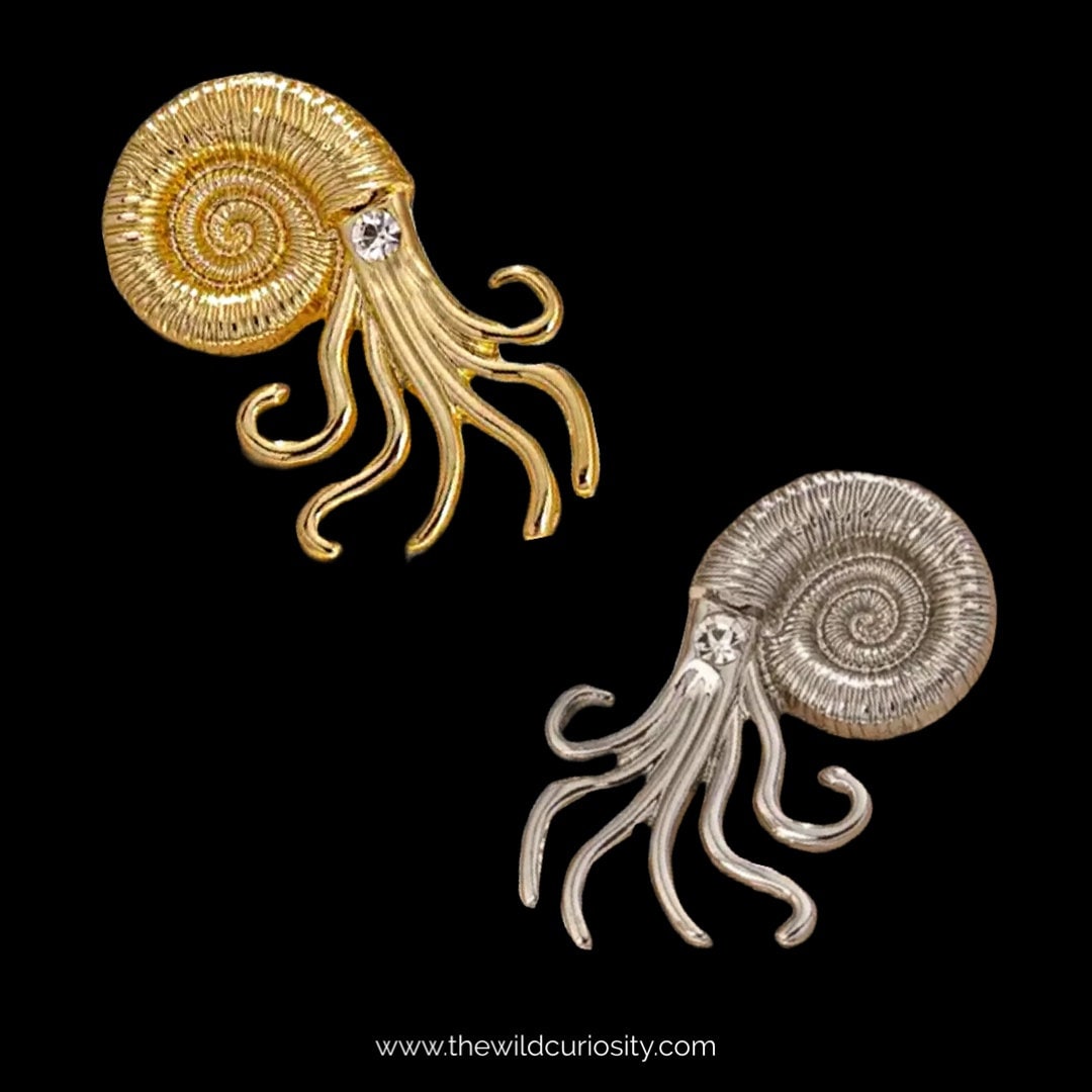 Jurassic Jewellery | Fossil Ammonite Earrings | Gold or Silver | Oddity ...