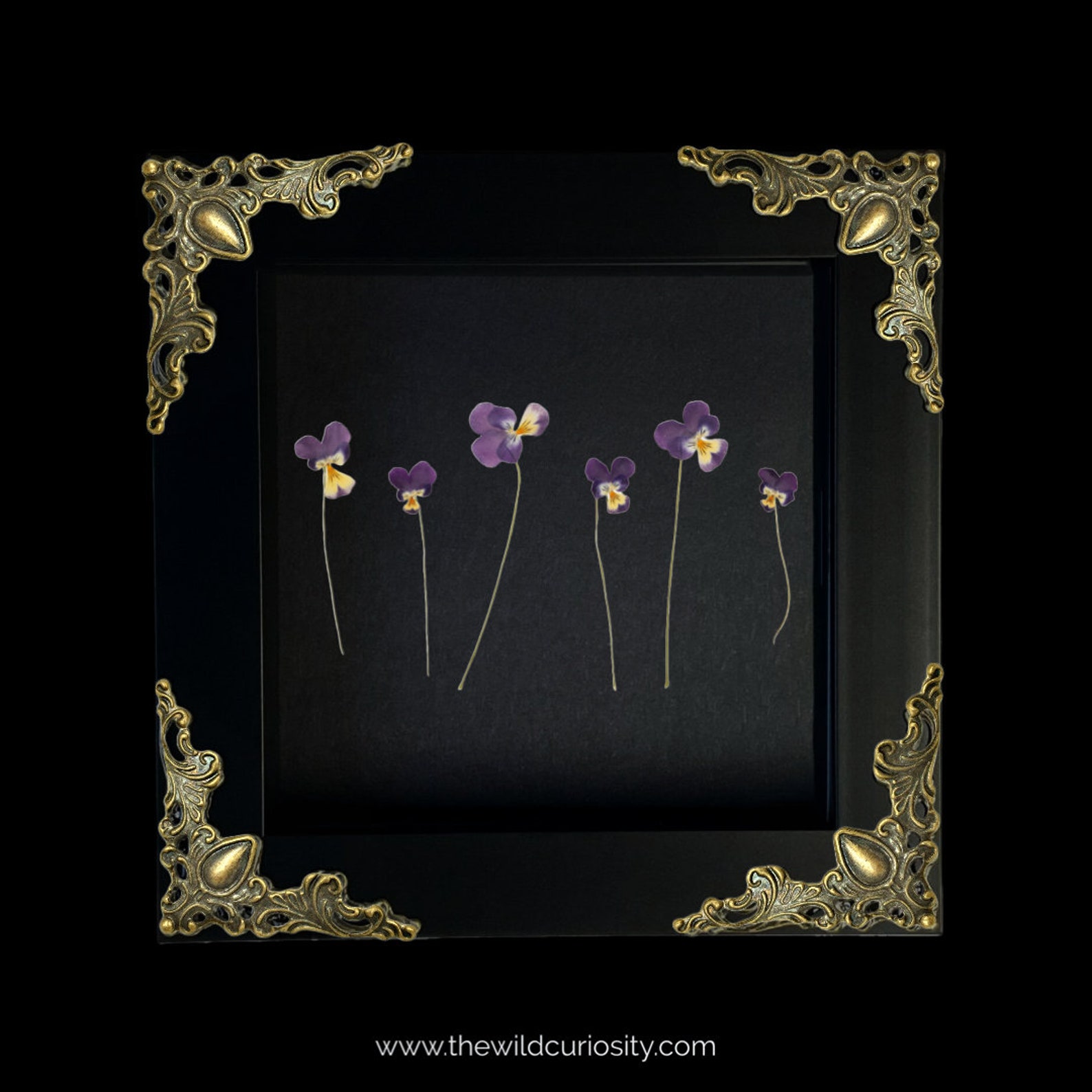 Black Deep Shadow Box Display Frame | Ornate Baroque Style Corners ...