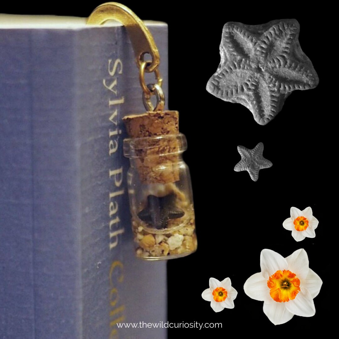 Wild Bookmark | Star Fossil in Cute Mini Bottle | Mother’s Day Gifts ...
