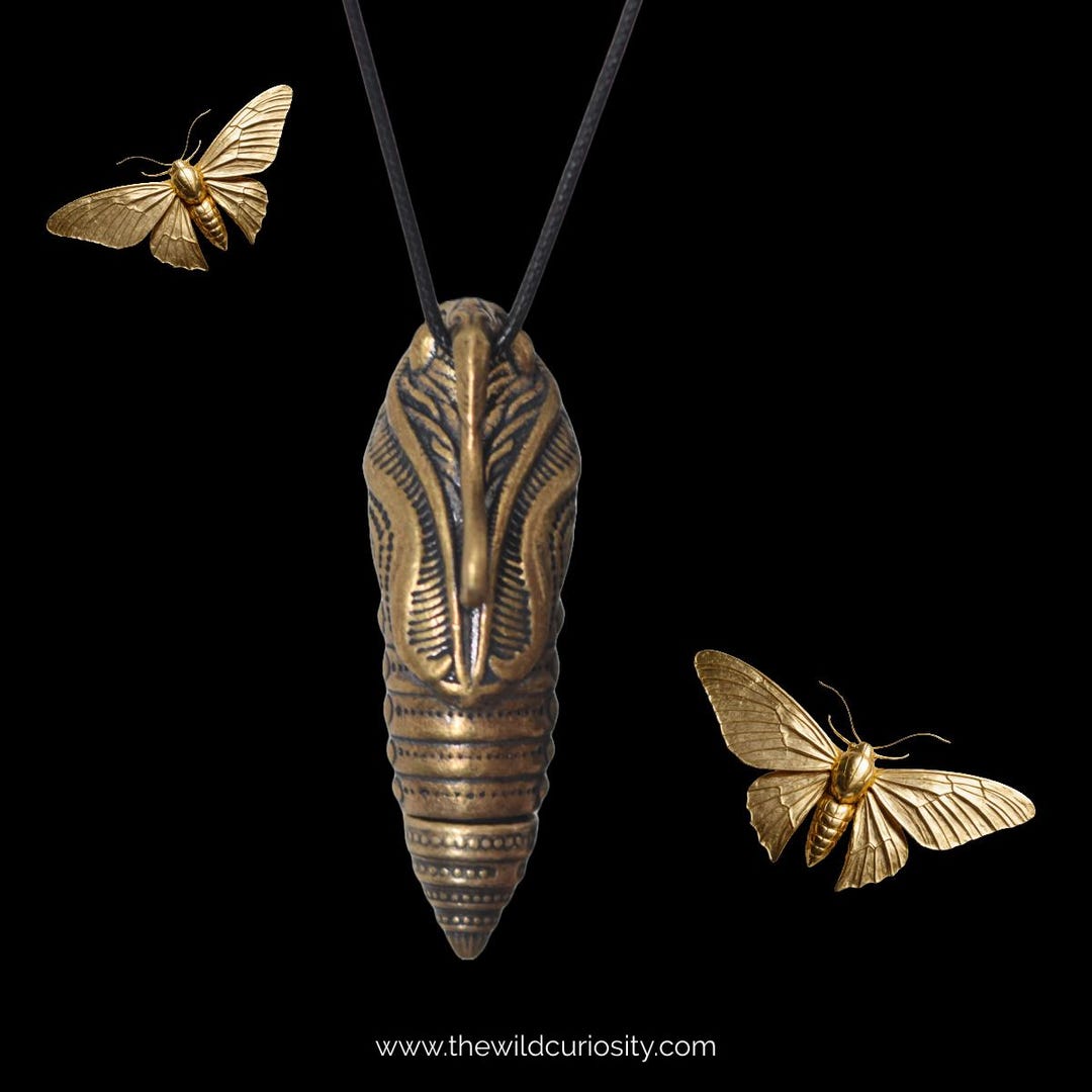 Brass Death’s-head Hawk-moth Pupa Pendant | Black Cord | Handmade ...