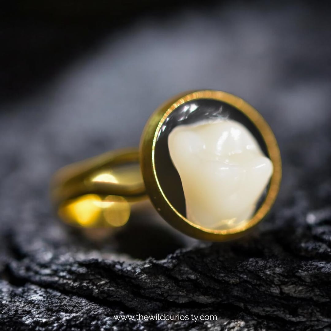 Human Tooth Ring Statement Jewellery Gothic Handmade Rings Faux Denture ...