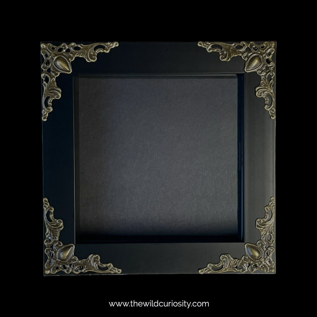 Black Deep Shadow Box Display Frame Ornate Baroque Style - Etsy