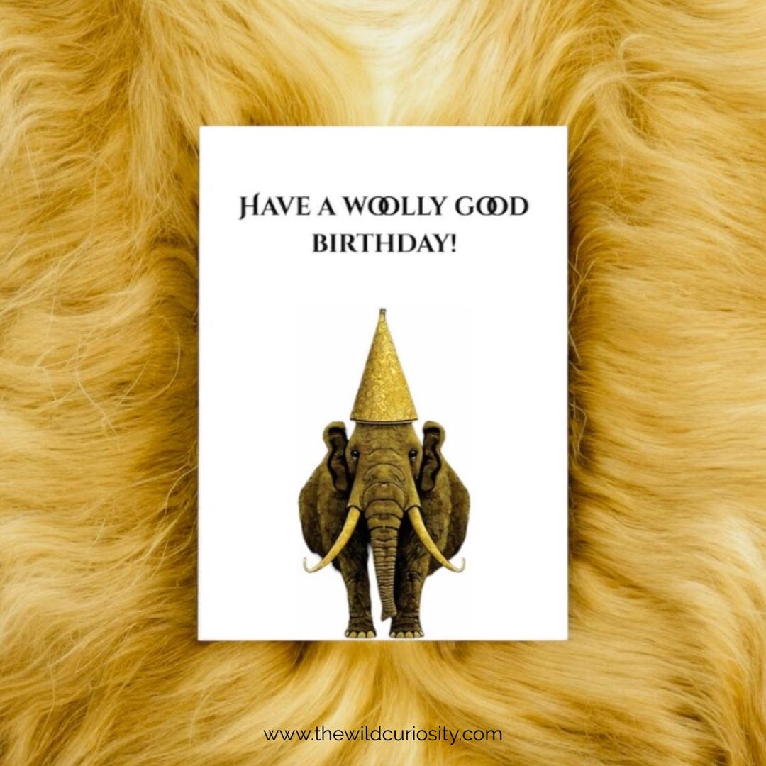 Have a Woolly Good Birthday Card | A6 Cards | Ice Age Mammoth Gifts ...