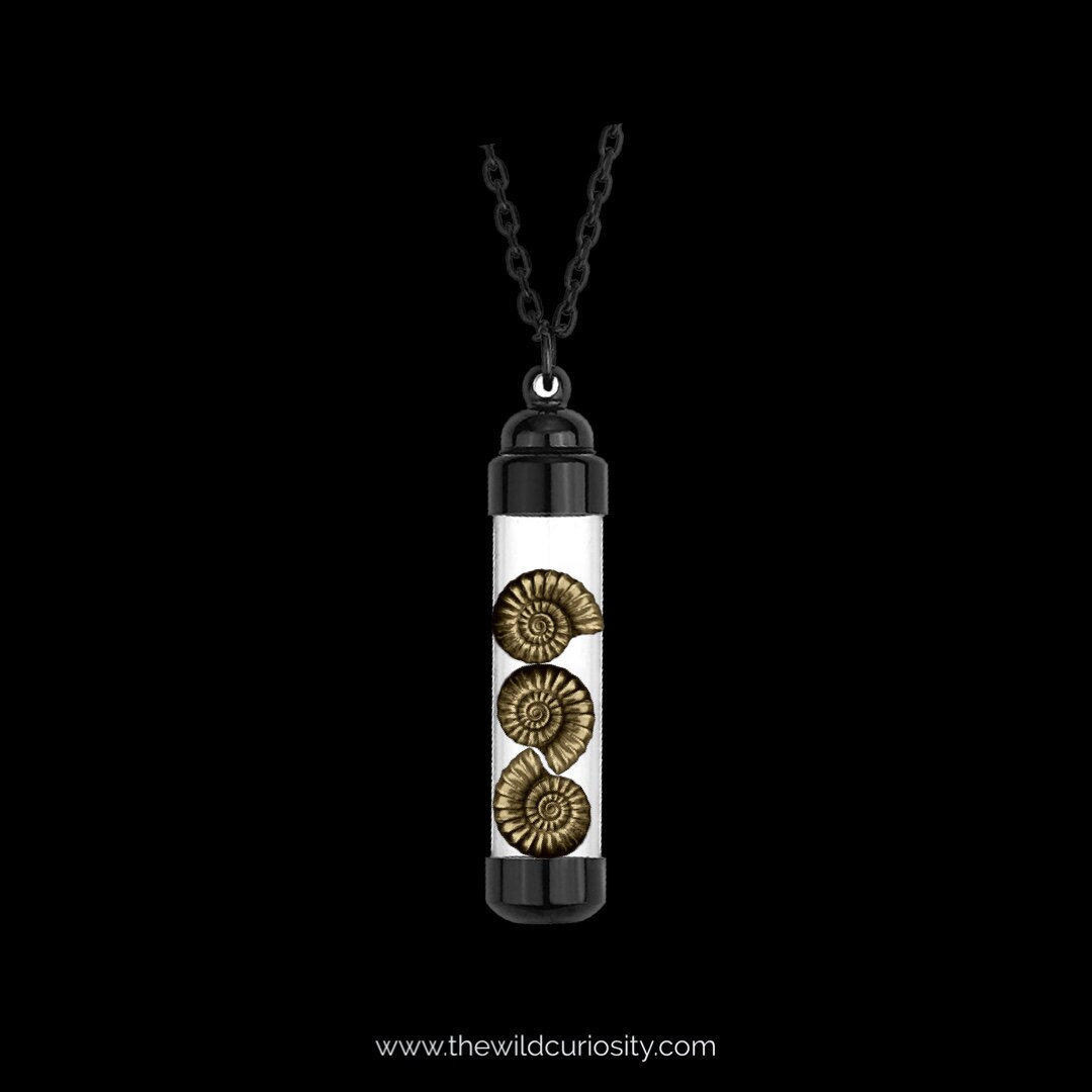Jurassic Jewellery: Pyrite Fossil Ammonite Pendant | Clear Glass ...