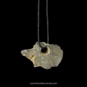 English Hag Stone Amulet | Pendant | Witch Necklace | Adder Stones ...