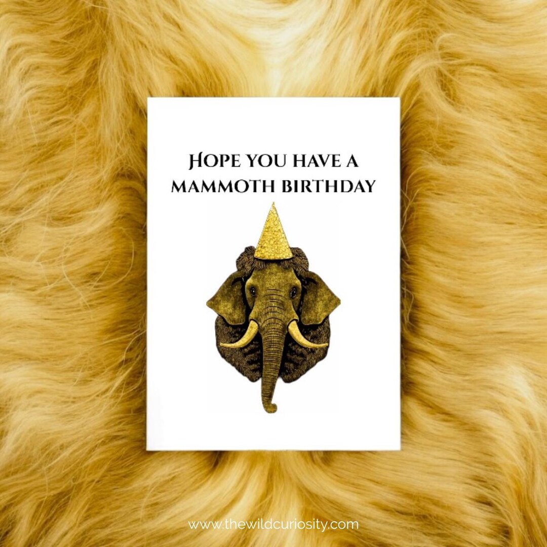 Hope You Have a Mammoth Birthday Card | A6 Cards | Ice Age Mammoth ...