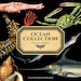 Fungi Collection | Download & Printable Sheet | Vintage Paper Craft ...