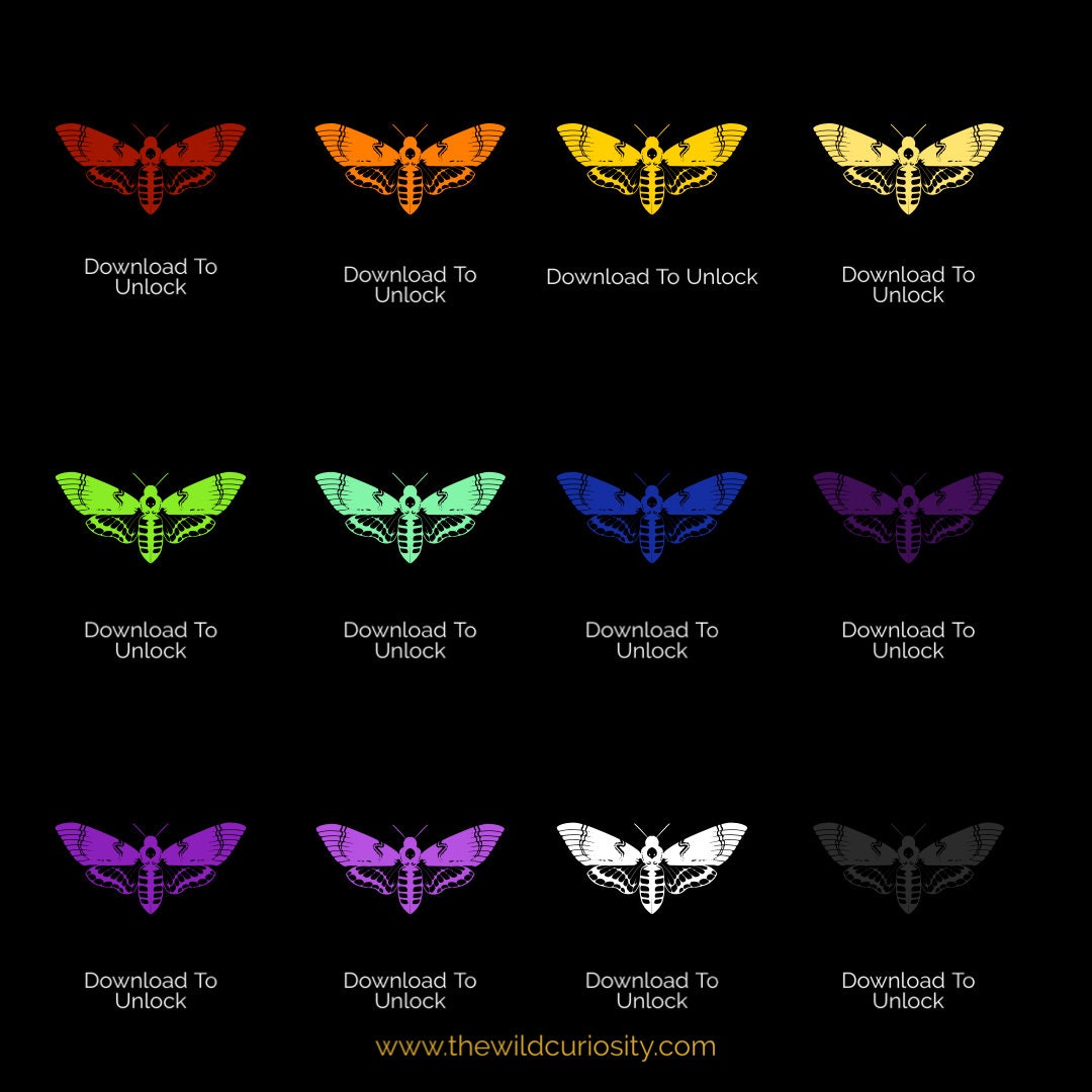 Mood Ring Colour Chart | Downloadable Guide | Death’s-head Hawk-moth ...