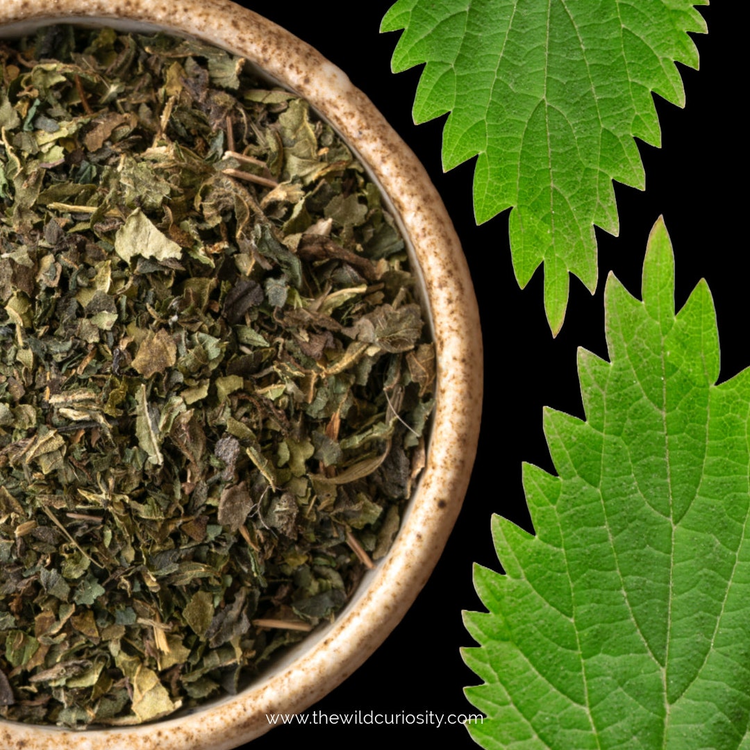 Dried English Nettle Mix Stinging Nettle Witchcraft Supplies Wiccan - Etsy