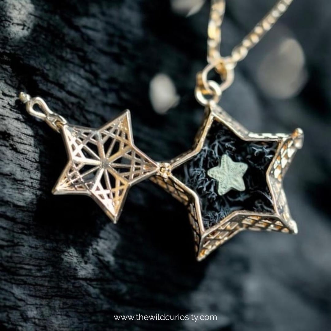 Gold Star Locket With Genuine Fossil Star Crinoid | Unique Pendant ...