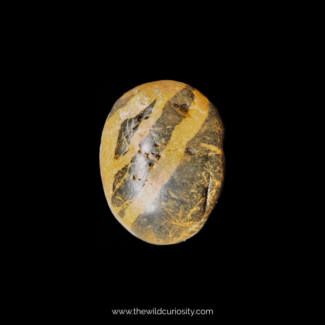 Natural Tiger Stone | Jurassic Coast | Striped Pebble | Healing ...