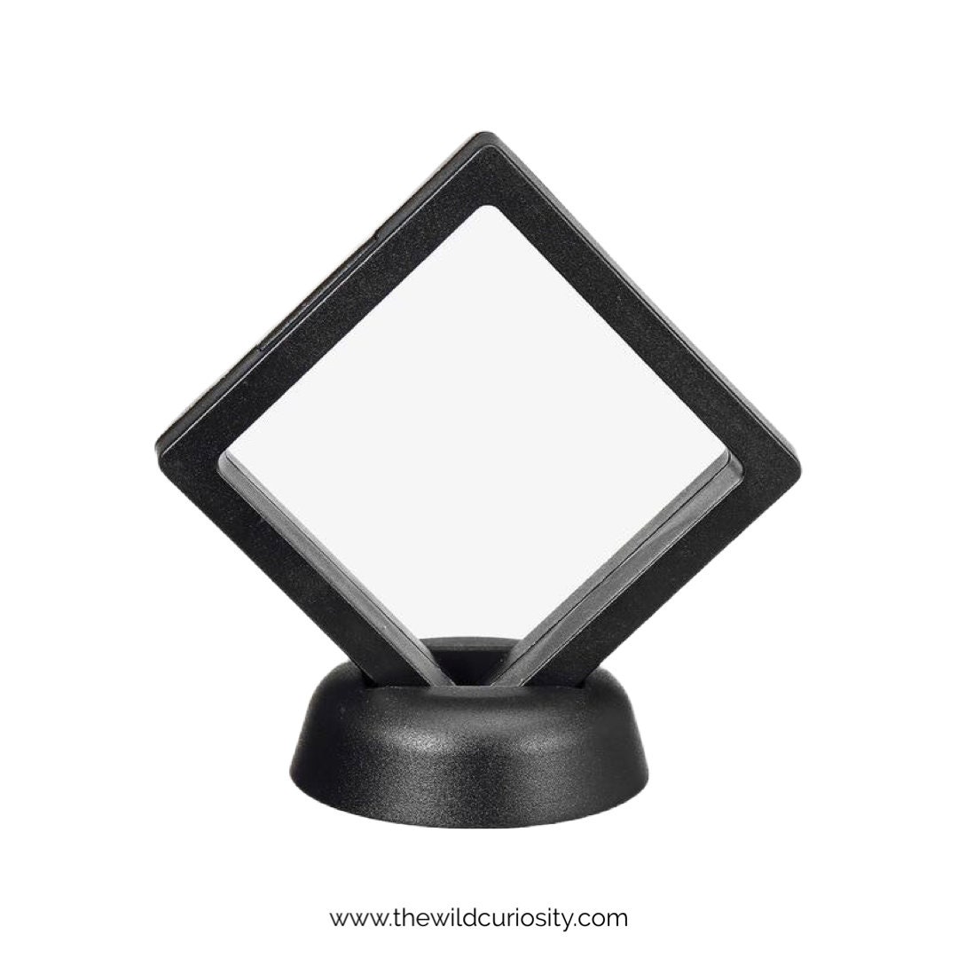 Floating Frame Display 3D Frame Decorative Standing Frame Oddities ...