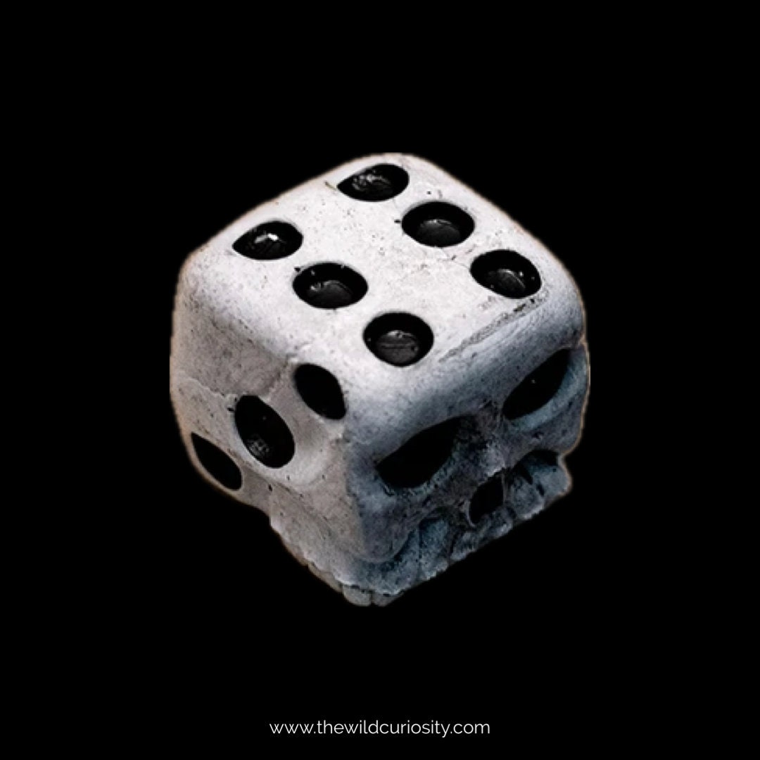 Human Skull Dice 6-sided Bone Effect Horror Game Playing Cubes Unique ...