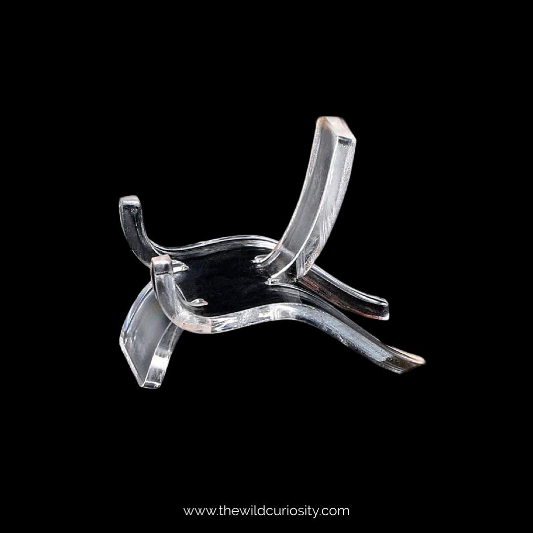 Miniature Display Stand | Transparent Acrylic | Decorative Standing ...
