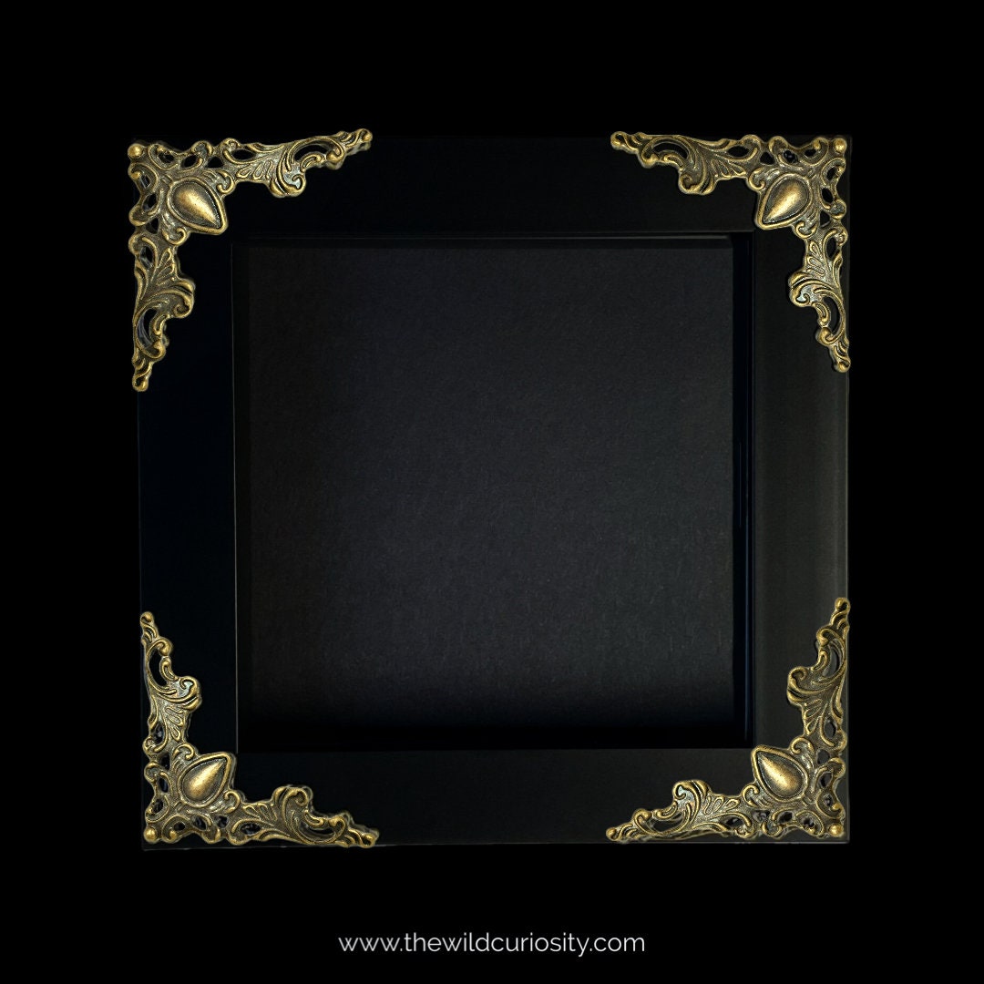 Black Deep Shadow Box Display Frame | Ornate Baroque Style | Arts and ...